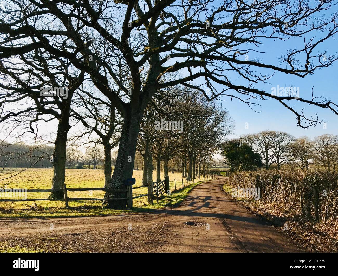 English landscape hedges hi-res stock photography and images - Alamy