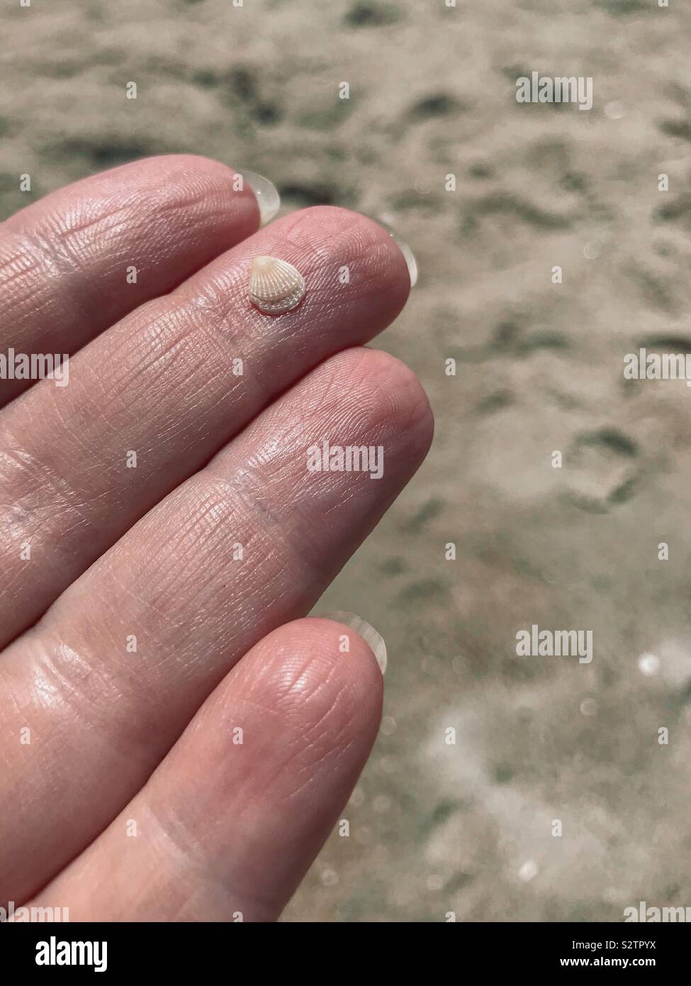 Fingers on the beach hi-res stock photography and images - Alamy