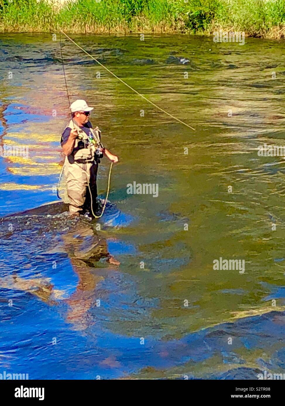 Fly fishingbon Thompson River Estes Park Colorado Stock Photo - Alamy