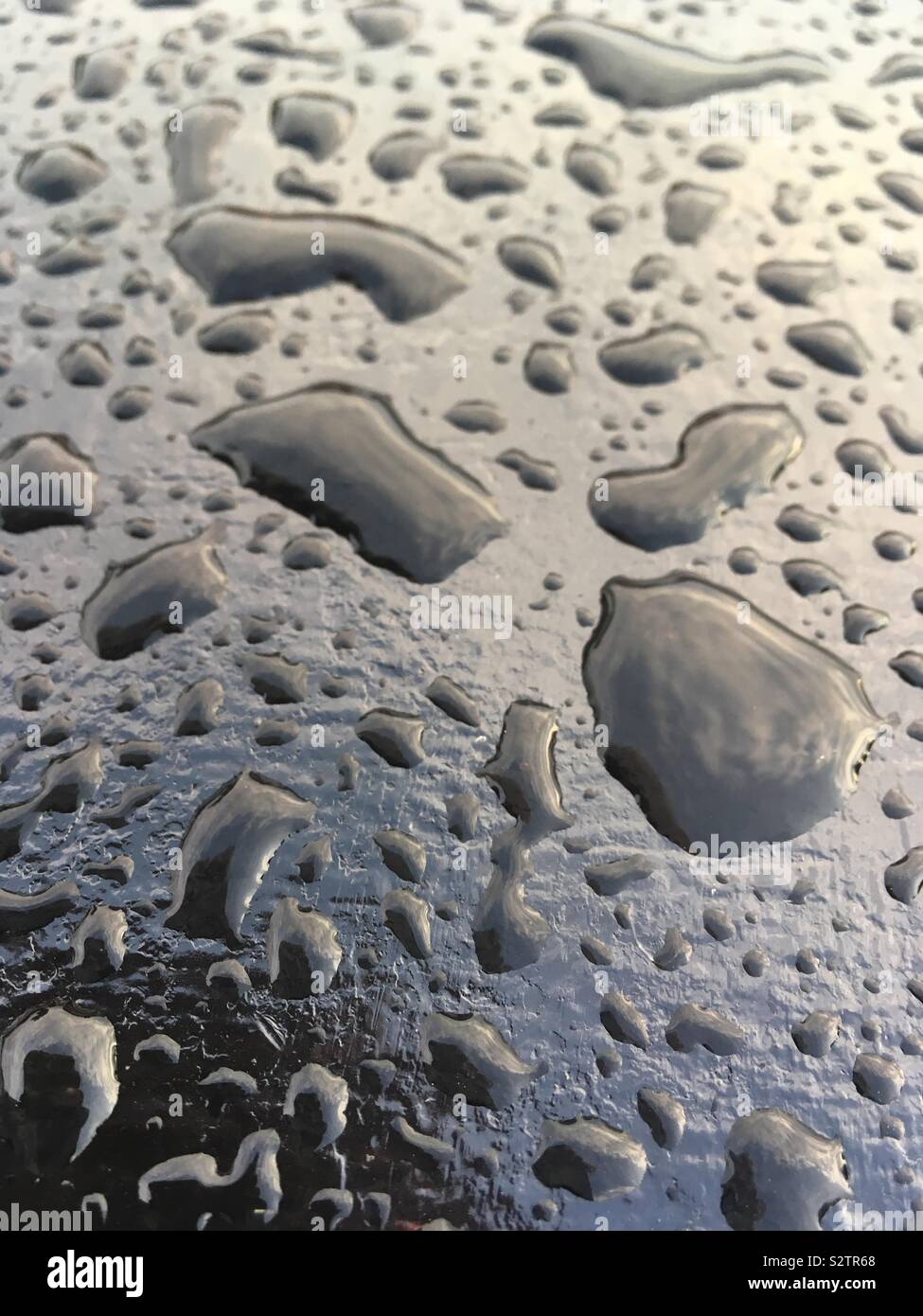 Reflections in raindrops on wooden fence post after a rain shower in ...