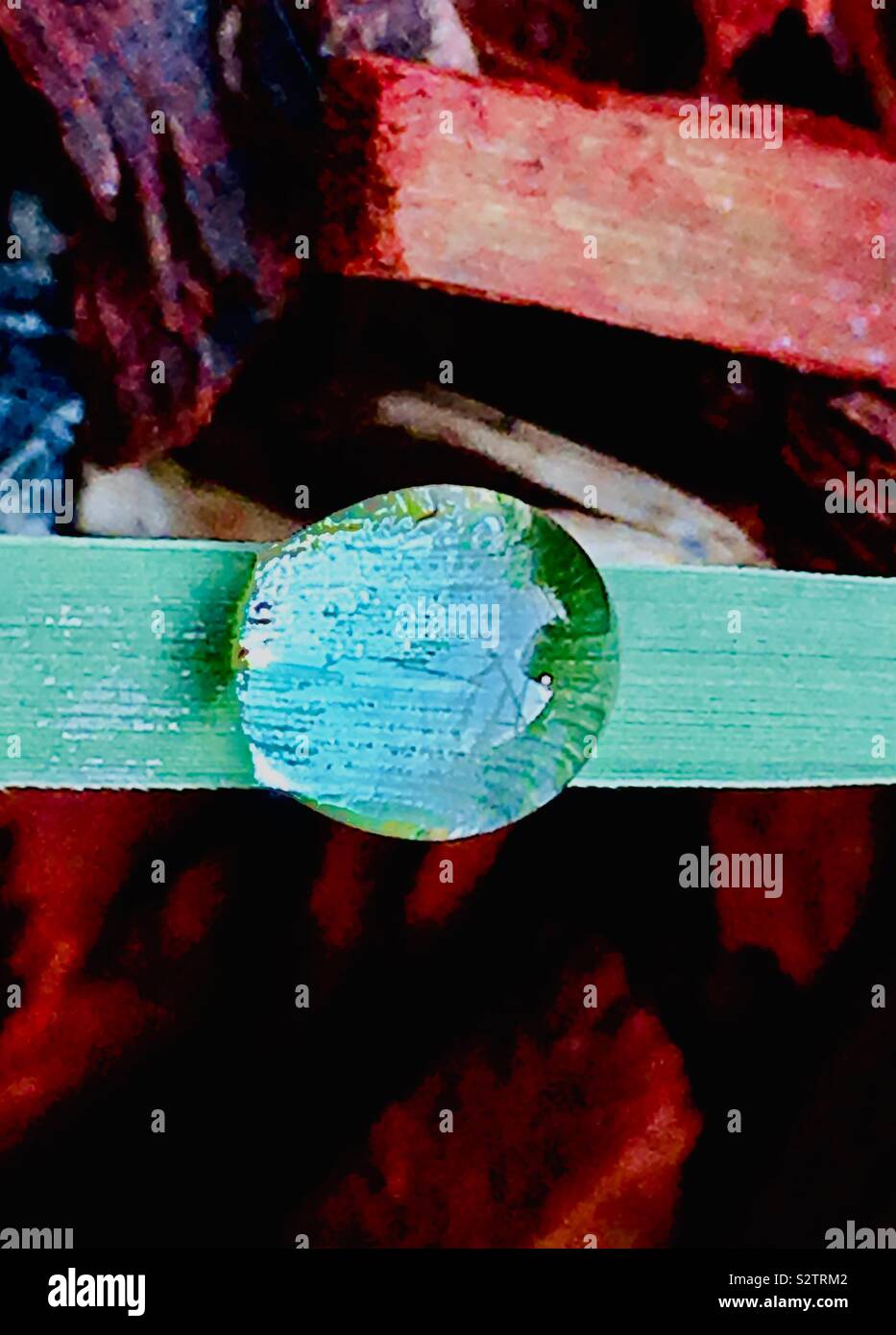 Dew drop hi-res stock photography and images - Alamy