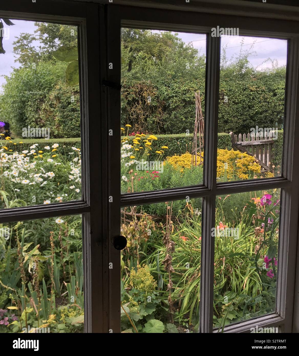 Window view of a country garden Stock Photo - Alamy