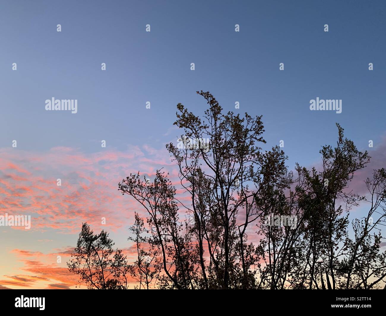 Beautiful pastel hi-res stock photography and images - Alamy