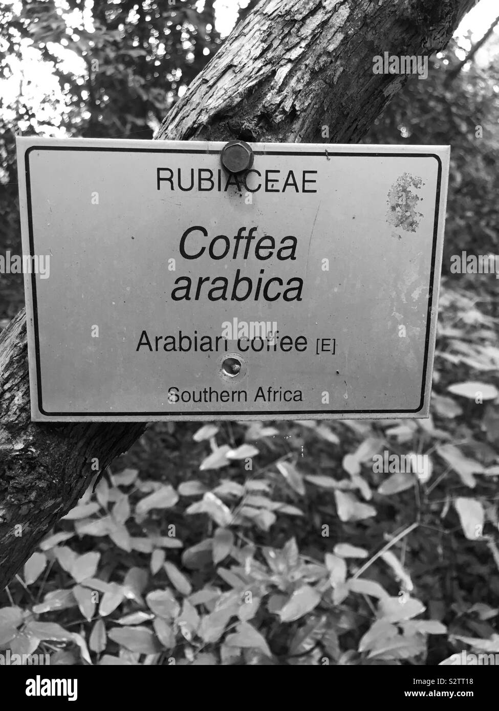 Black and white coffee sign Stock Photo - Alamy