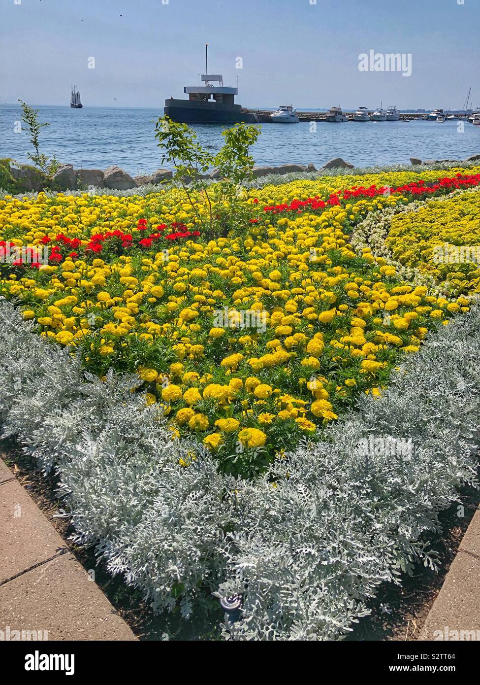 Manicured plants hi-res stock photography and images - Alamy
