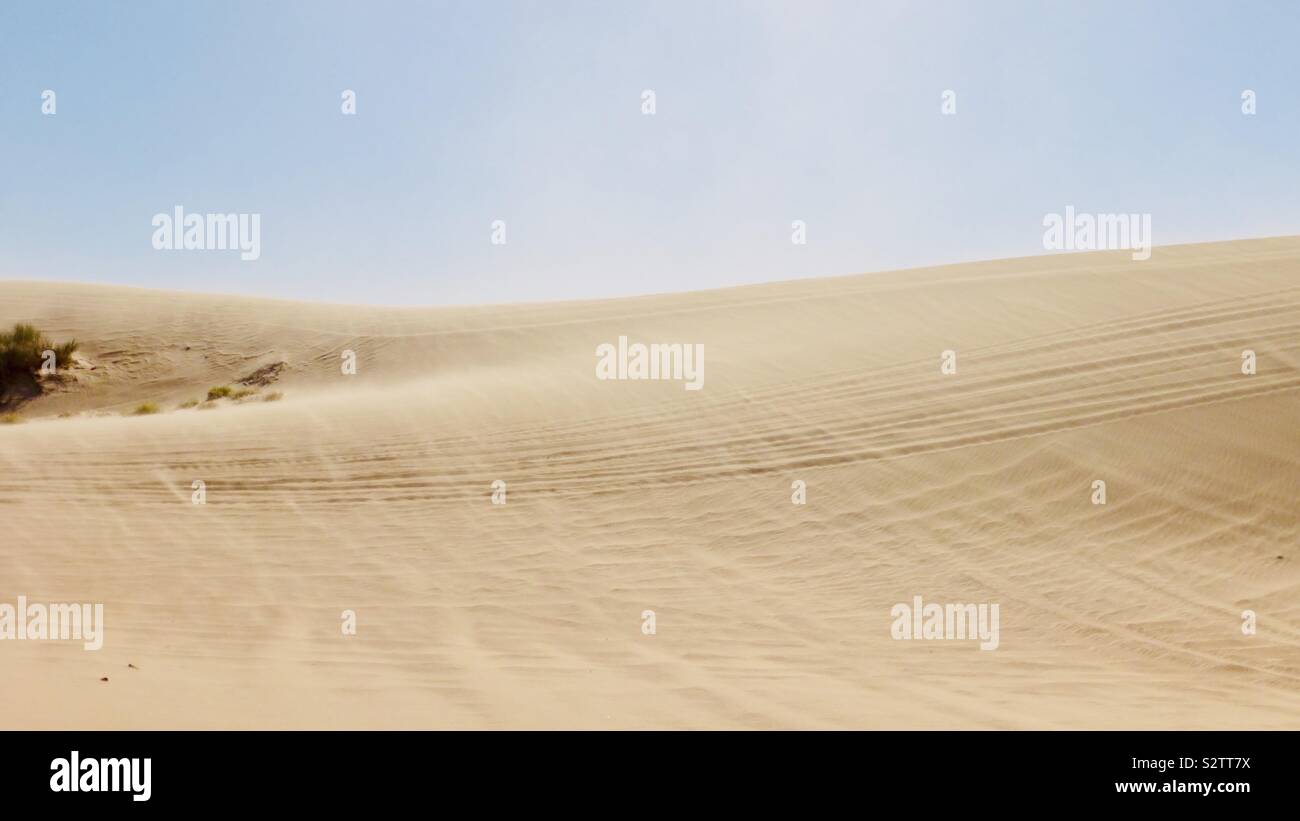 Windy sand hi-res stock photography and images - Alamy