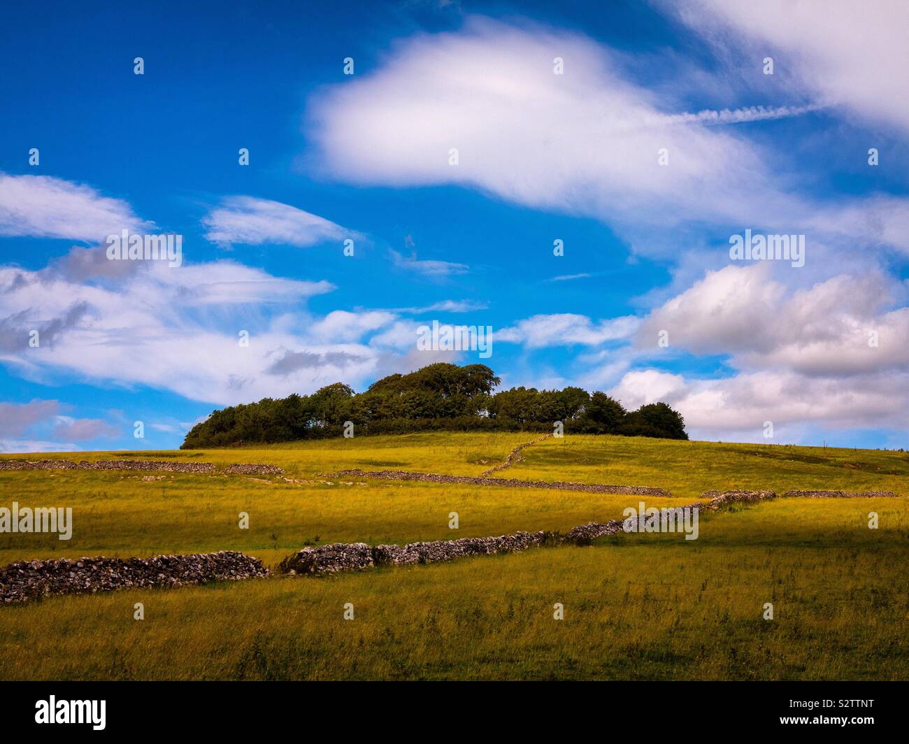 Minninglow an ancient hill fort with a circle of trees in the Peak ...