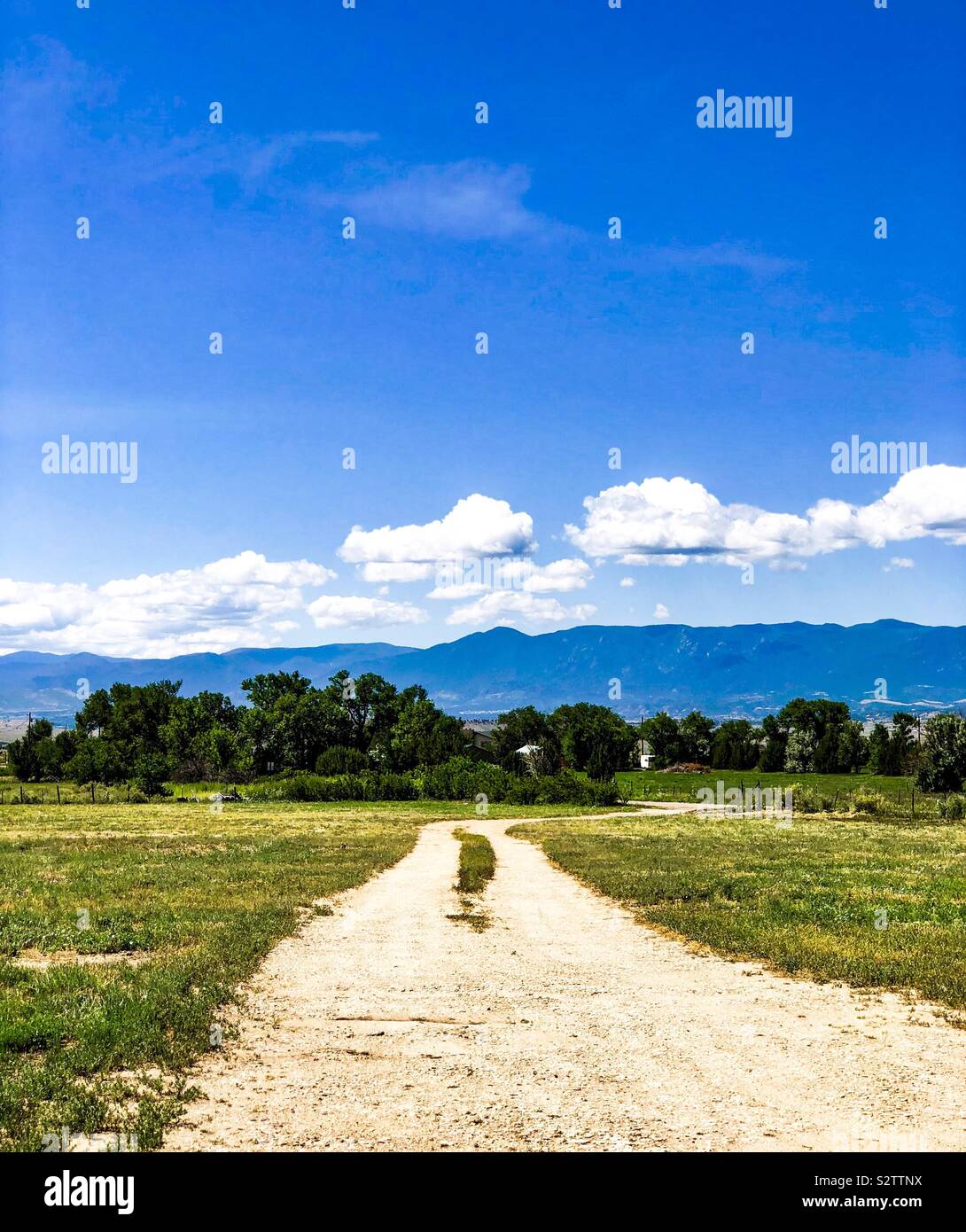 Country road green hi-res stock photography and images - Alamy