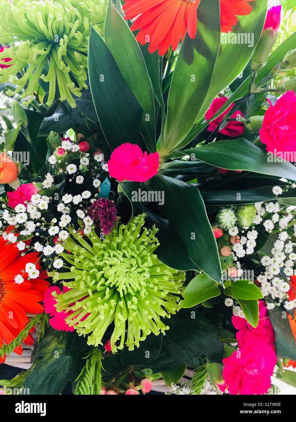 Vibrant floral display hi-res stock photography and images - Alamy