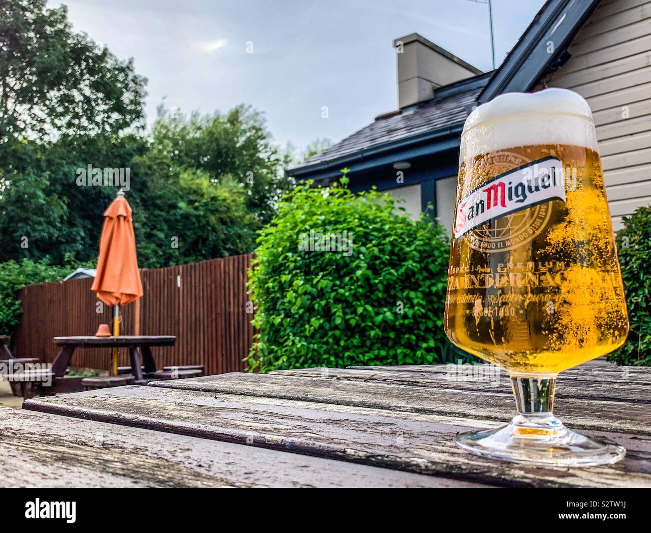 Pint of ice cold beer in a beer garden in summer Stock Photo - Alamy