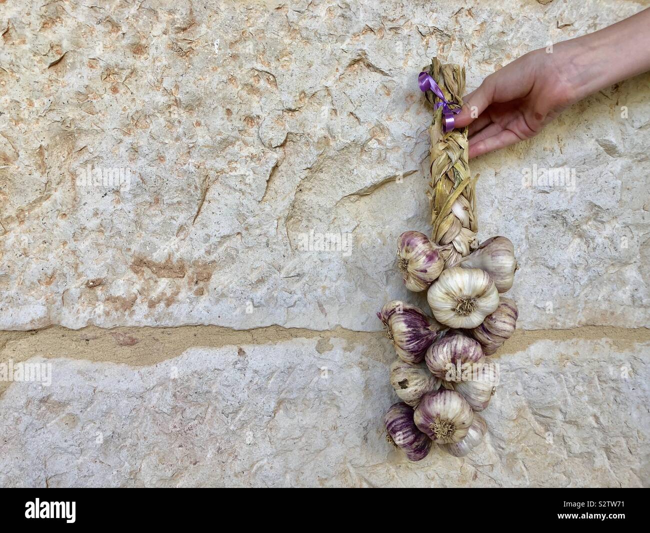 Hand holding bunch of garlic Stock Photo - Alamy