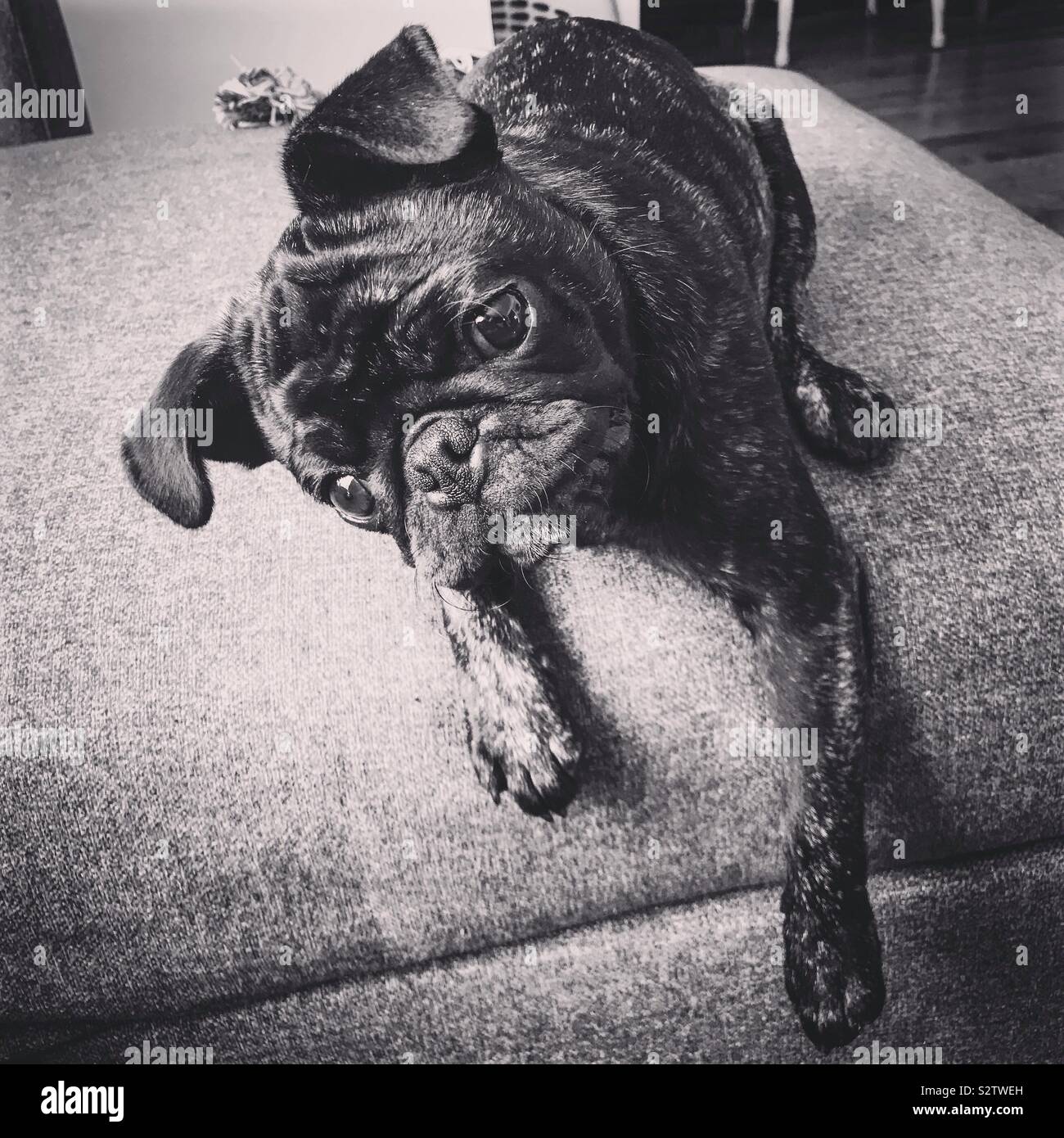 Tilt head hi-res stock photography and images - Alamy