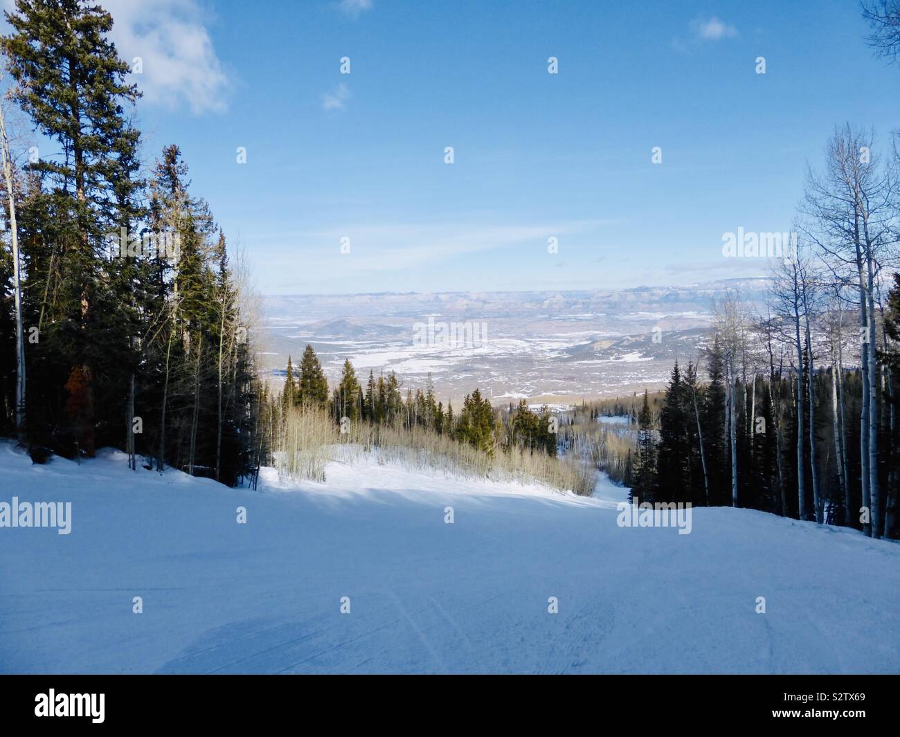 Winter ski slope landscape with pine trees Stock Photo - Alamy