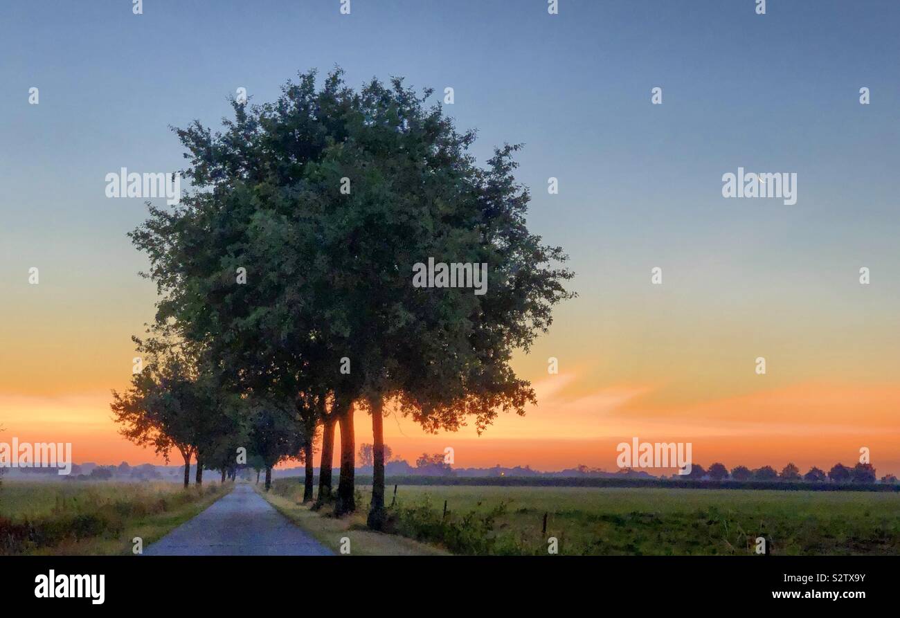 Tree lined Countryside Road between the farming fields under a dramatic ...