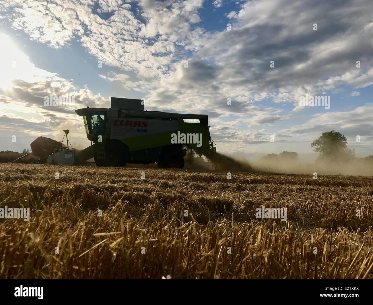 Barley Combine Harvesting Stock Photo - Alamy