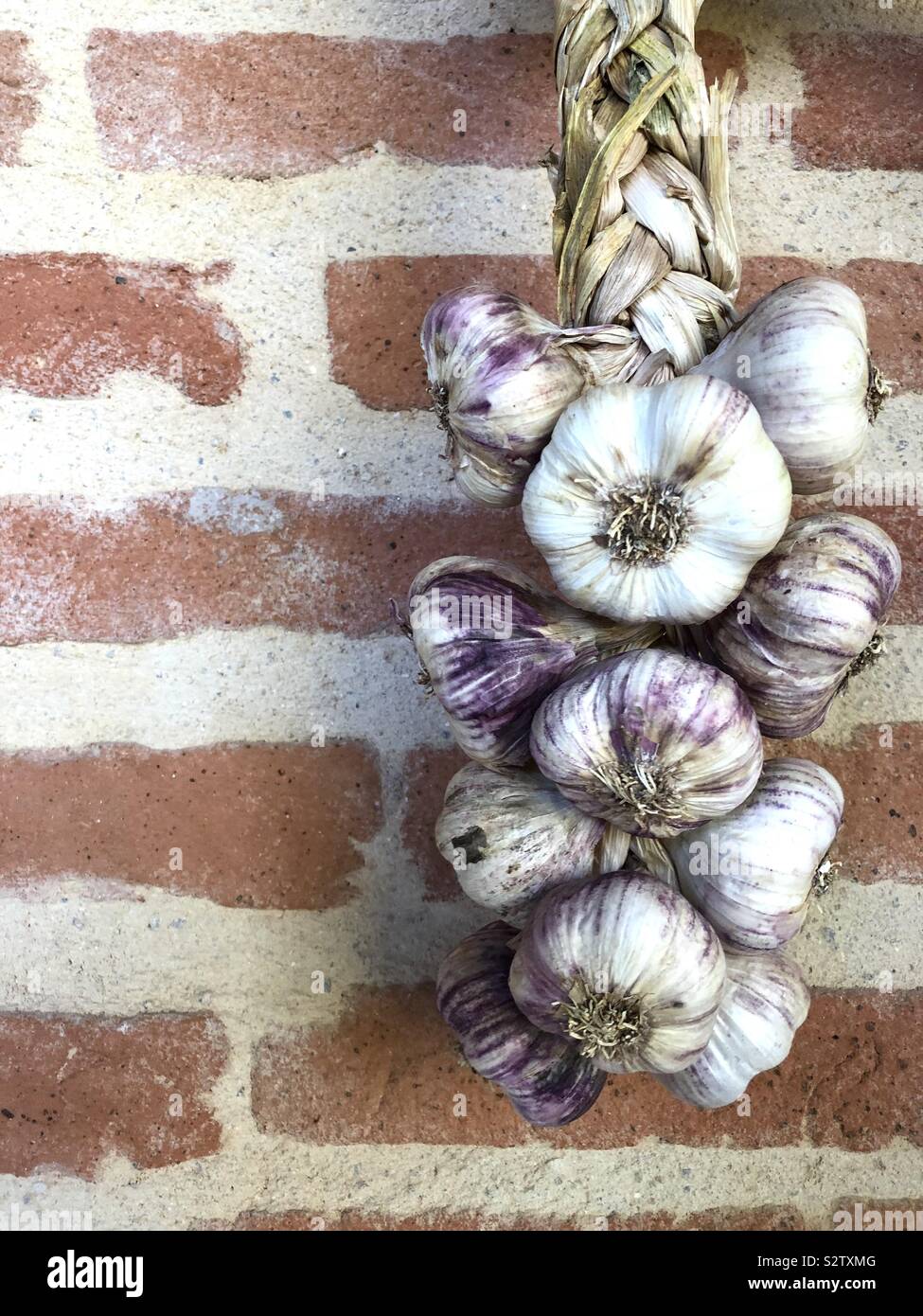 Braid of garlic hanging in front of a brick wall Stock Photo - Alamy