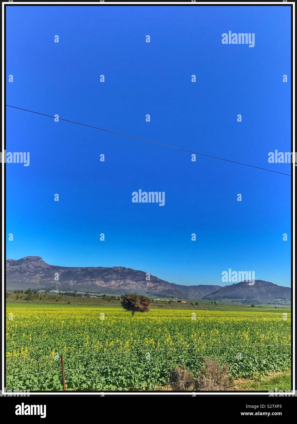 Boland region of the Western Cape Province of South Africa Stock Photo ...