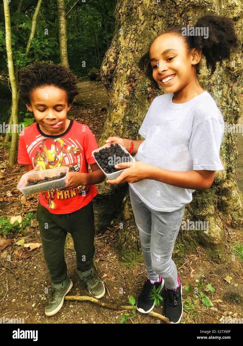 Kids show off their blackberry picking Stock Photo - Alamy
