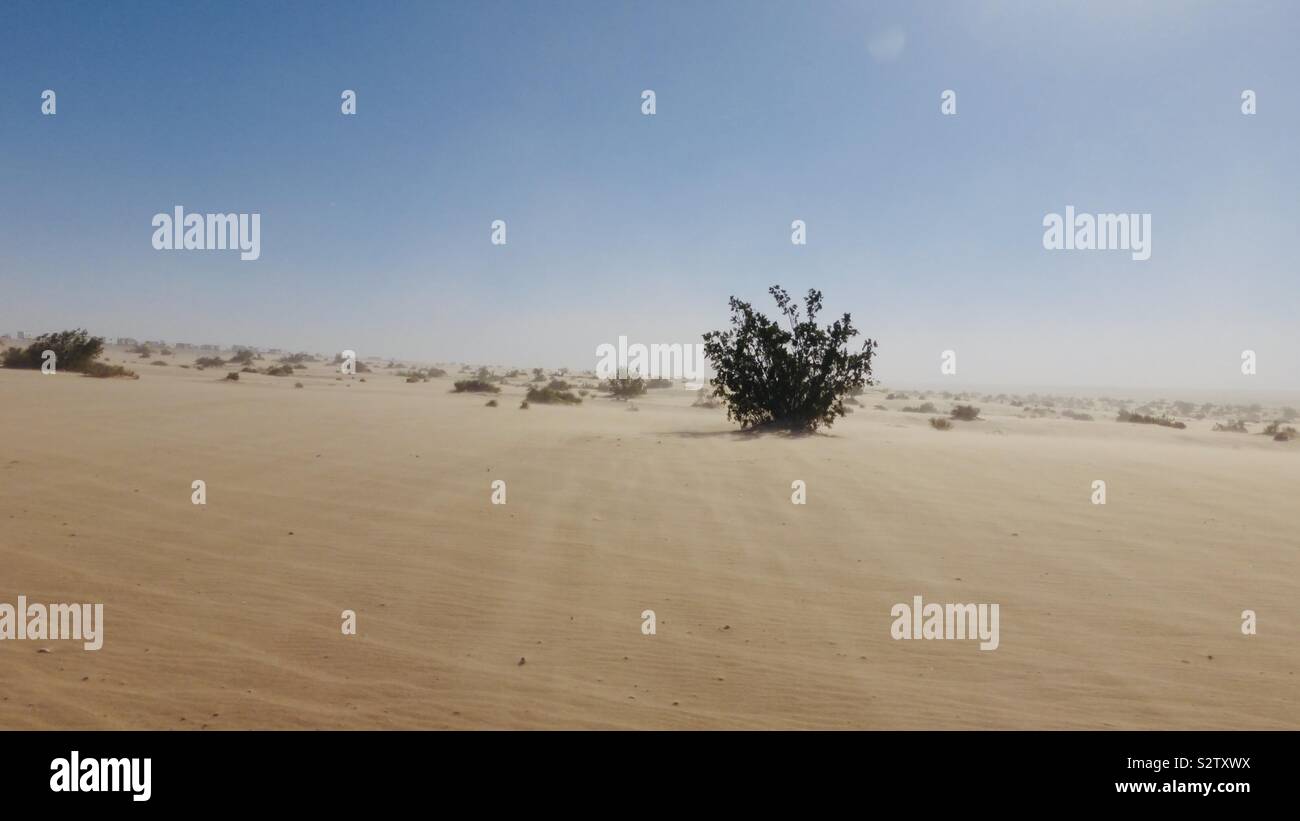 Windy sand hi-res stock photography and images - Alamy