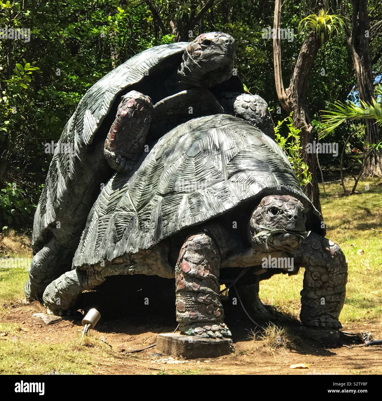 Mating Tortoise Statue - Mustique Island, St.Vincent and the Grenadines ...