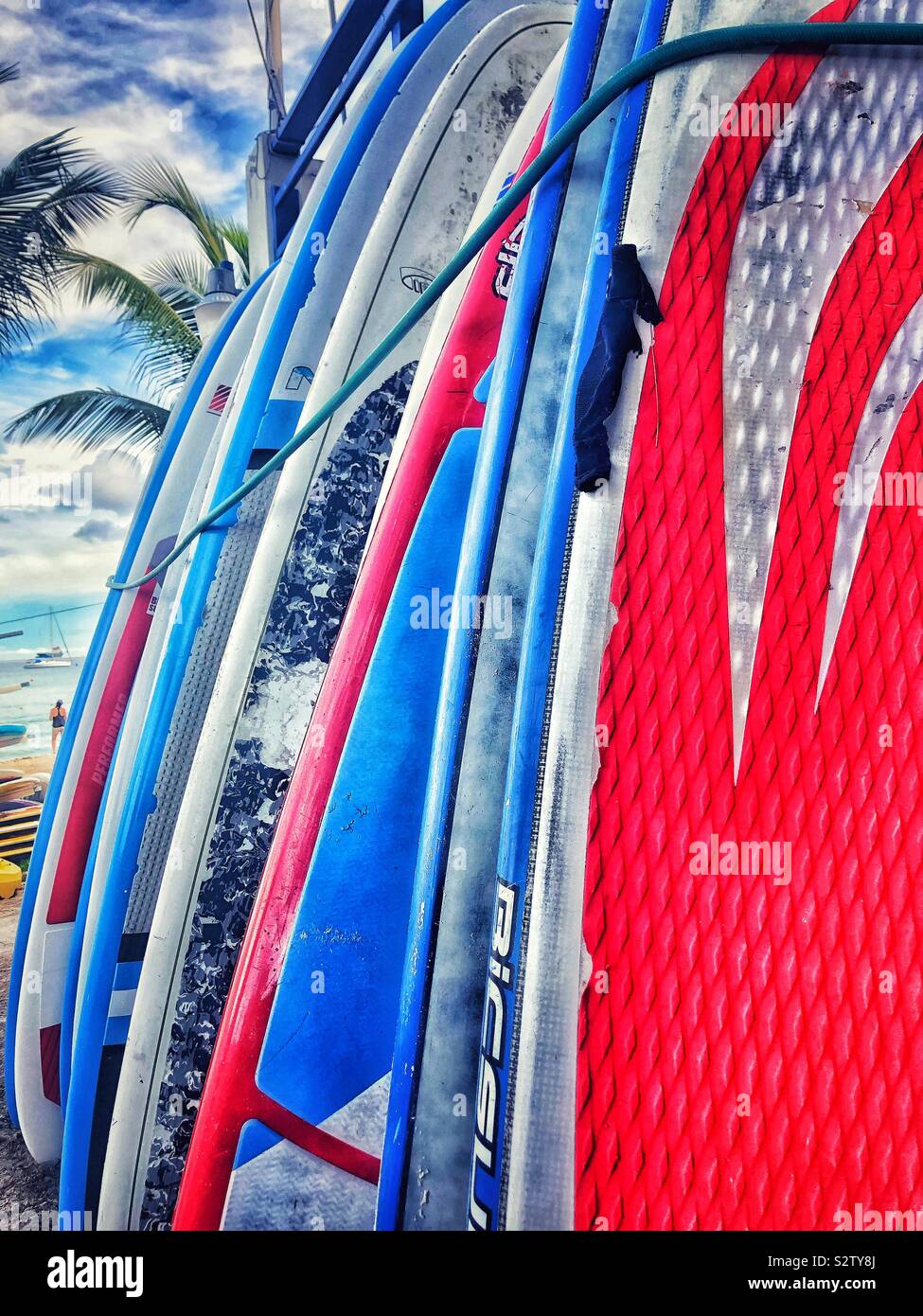 Red white and blue SUP boards lined up at the beach Stock Photo - Alamy