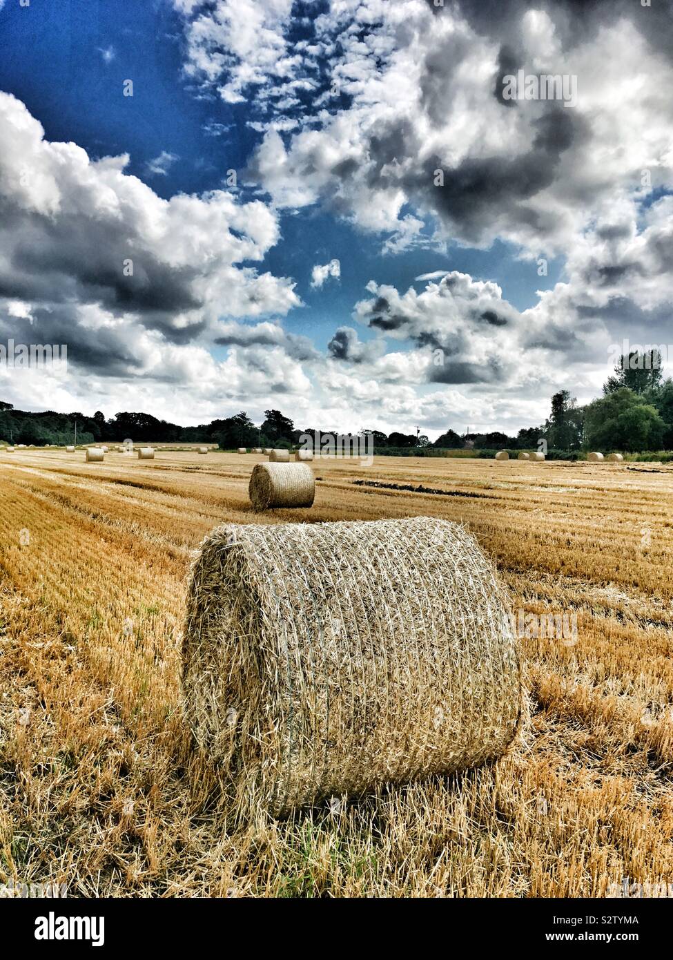 Clouds straw hi-res stock photography and images - Alamy