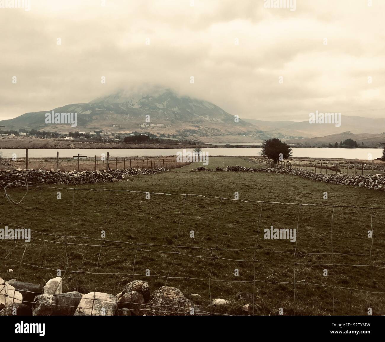 Errigal mountain in county Donegal, Ireland, on a misty winter’s day in ...
