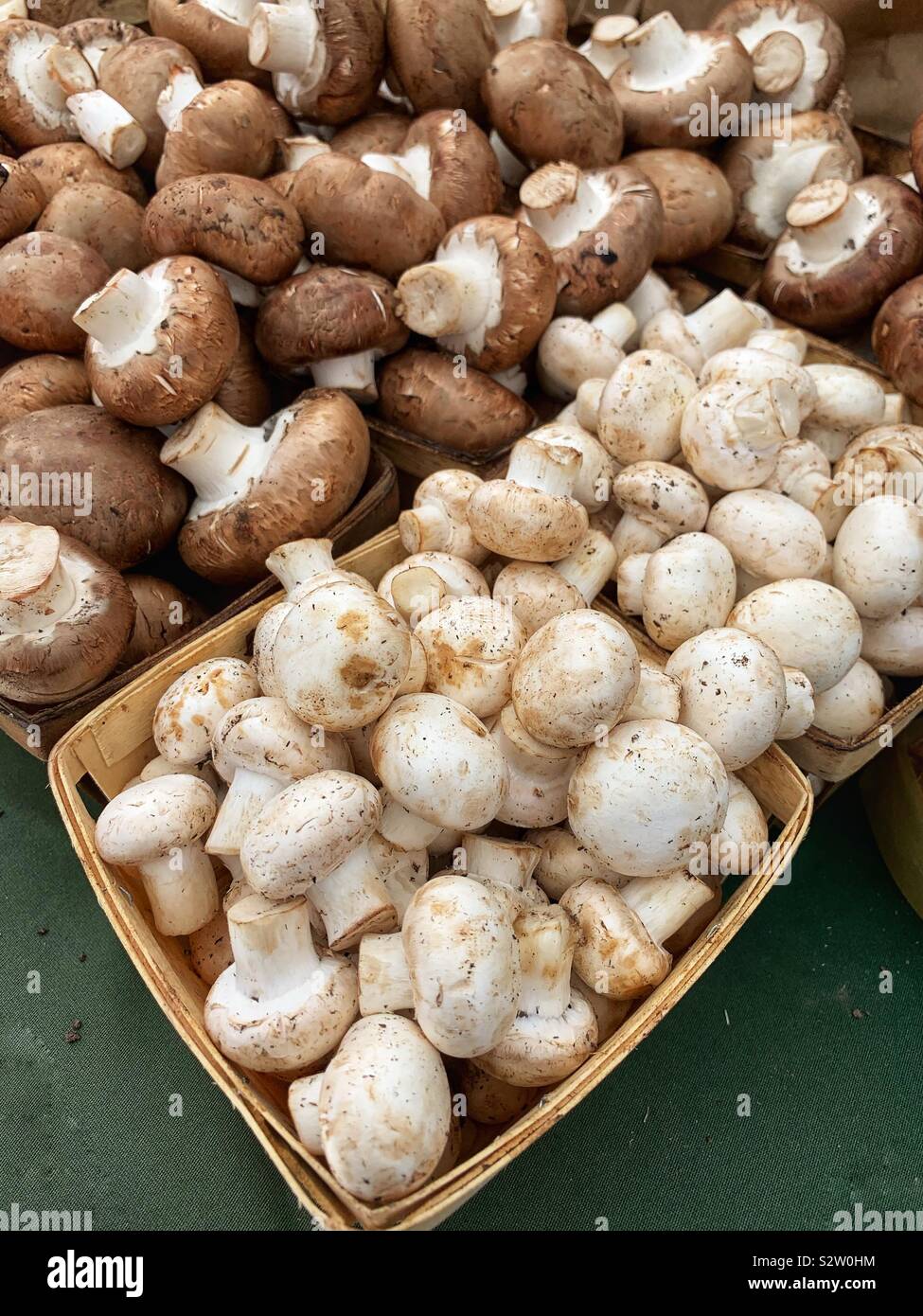 Wood baskets full of farm fresh loose white and brown cremini mushrooms ...