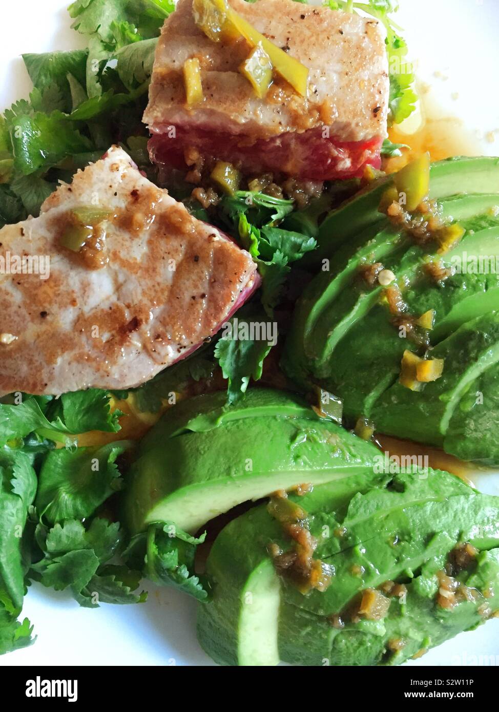 Gourmet entrée of seared Ahi tuna fillet on a bed of cilantro and ...
