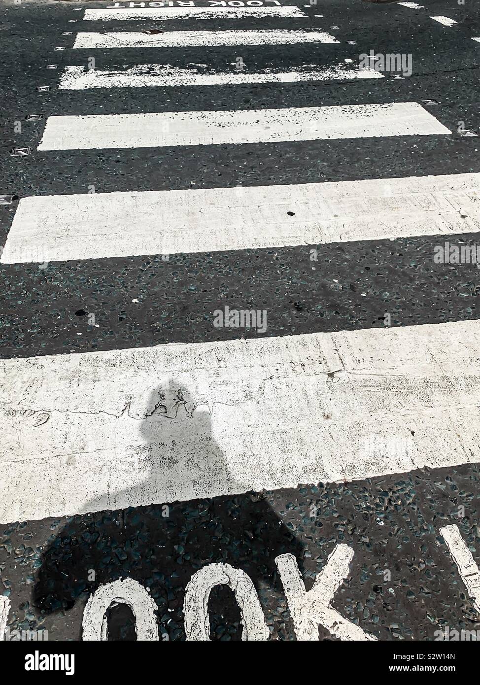 Zebra stripes crossing hi-res stock photography and images - Alamy