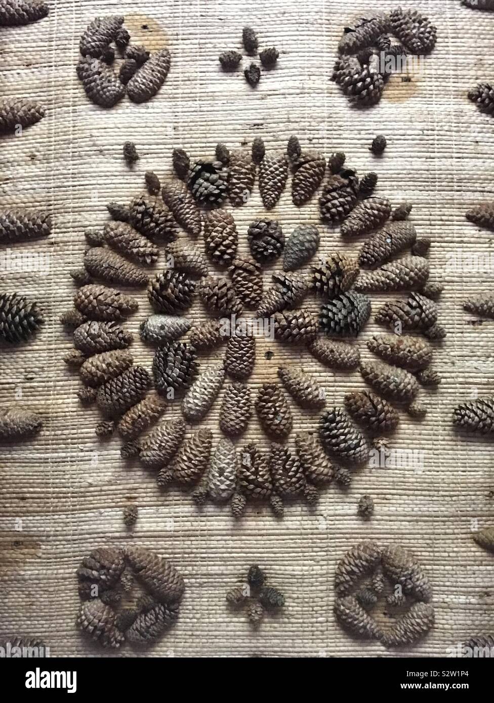 Pine cone patterns Stock Photo - Alamy