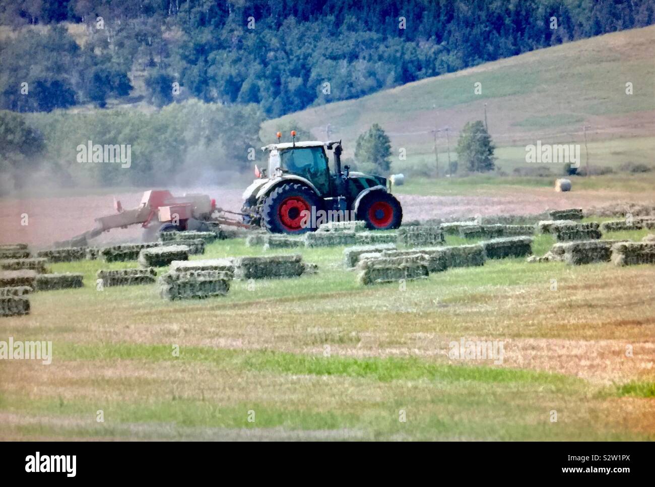 Agriculture, making hay, baling square bales Stock Photo - Alamy