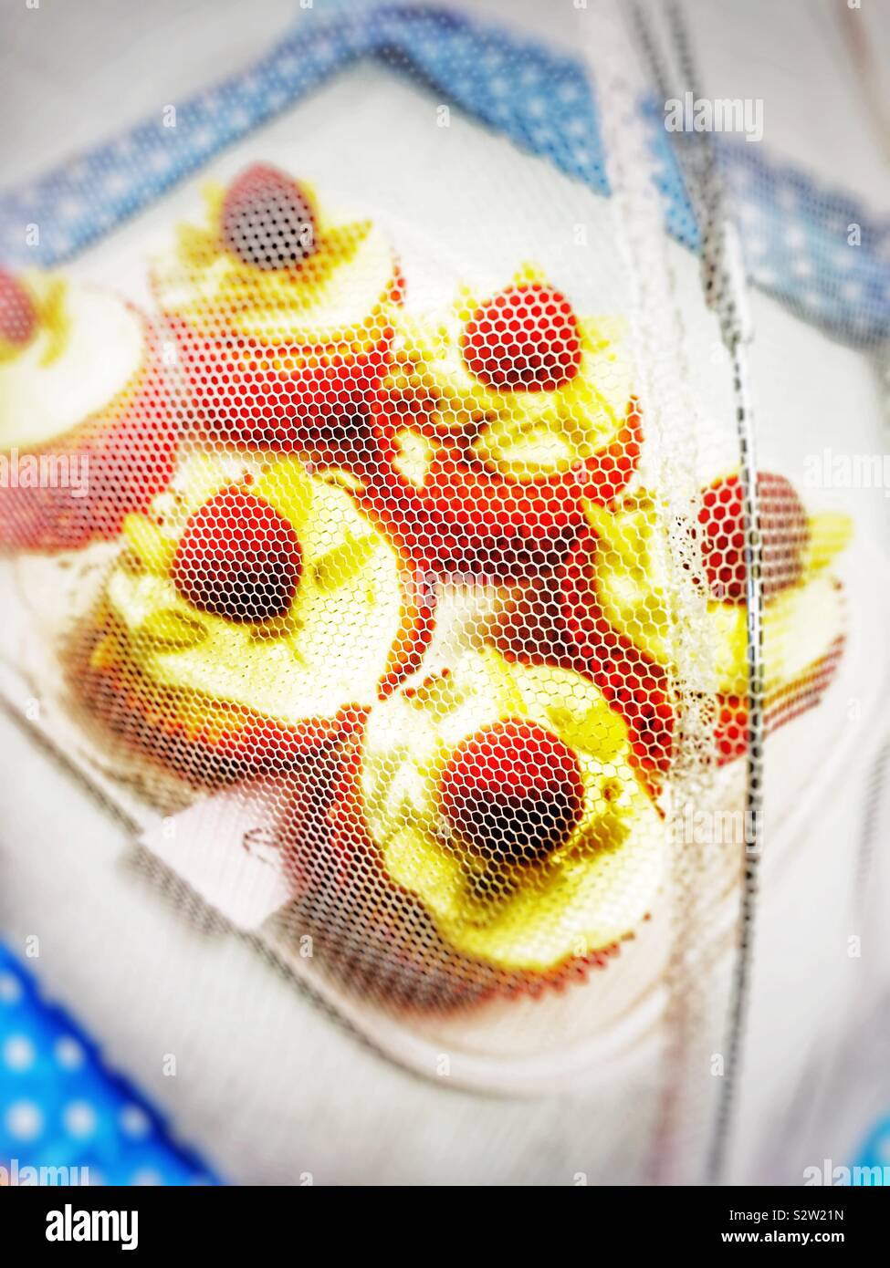 Homemade cupcakes under fly net Stock Photo - Alamy