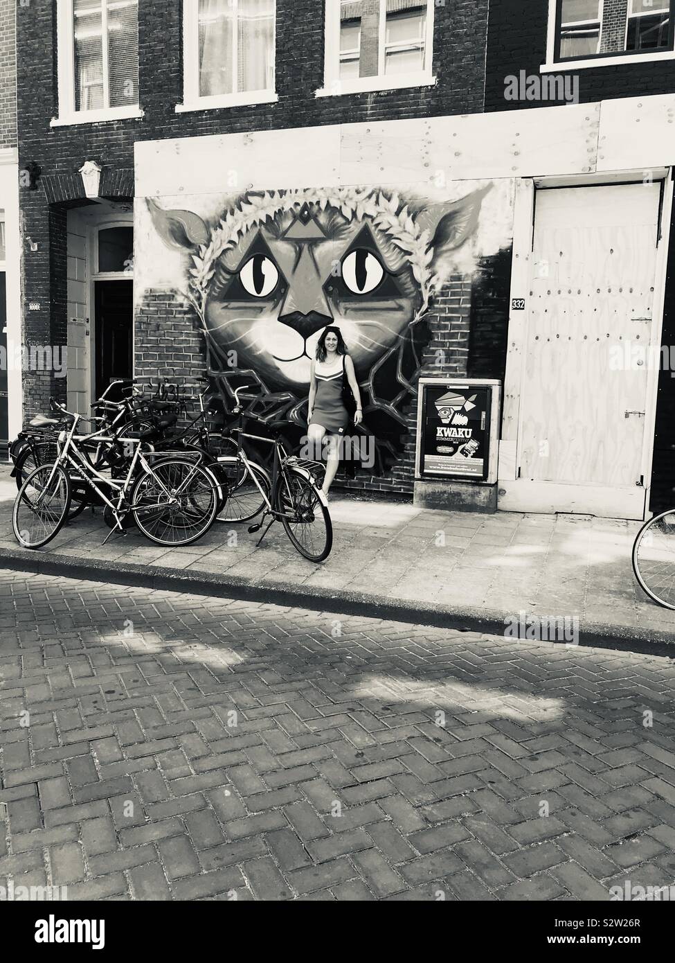 Cat lady hi-res stock photography and images - Alamy