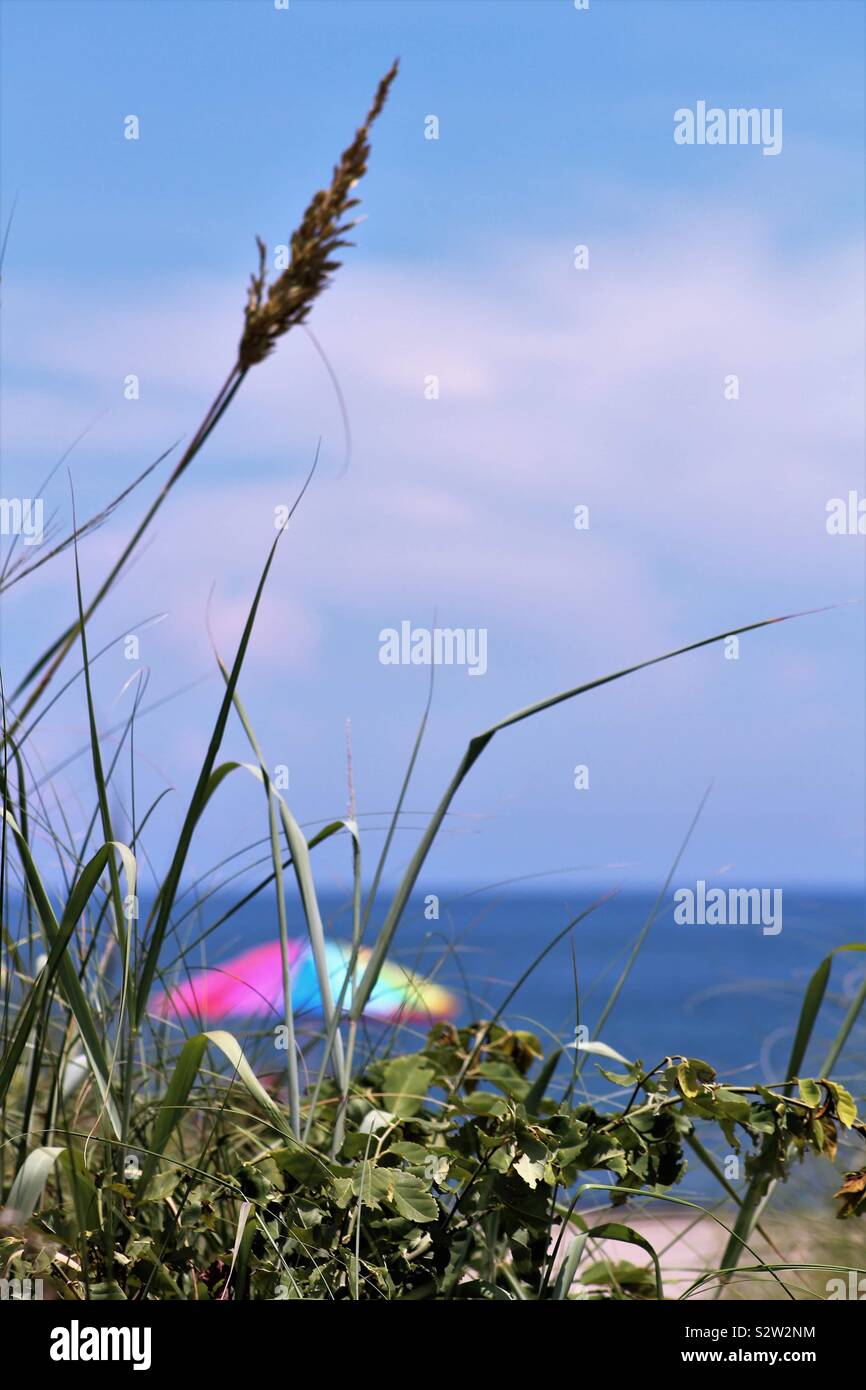 Buzzing waves hi-res stock photography and images - Alamy