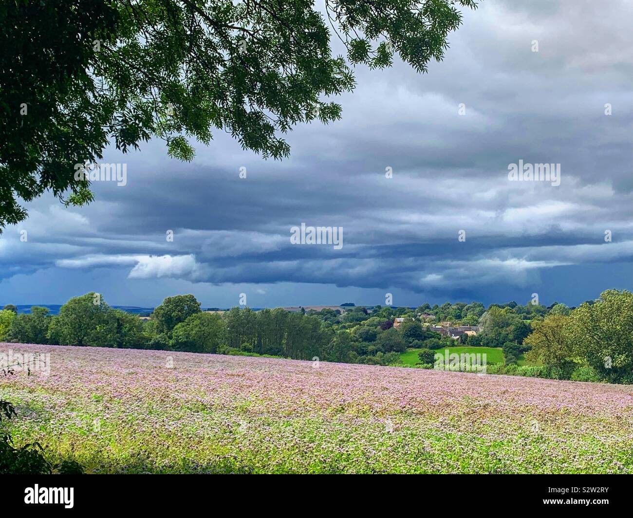 English countryside stormy hi-res stock photography and images - Alamy