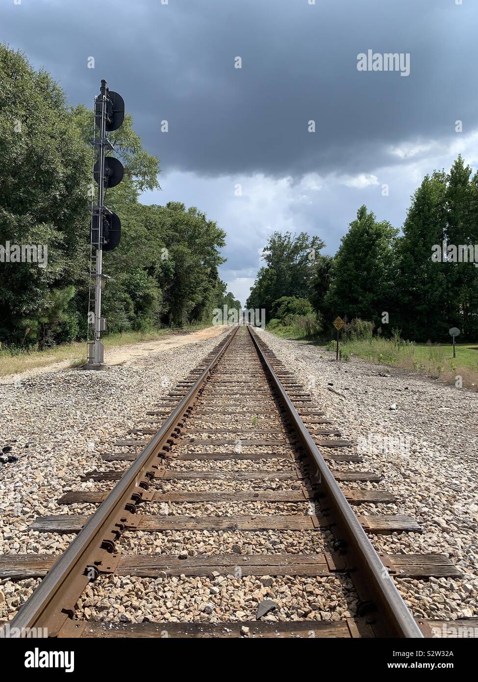 Train tracks going through forest area with pine trees Stock Photo - Alamy