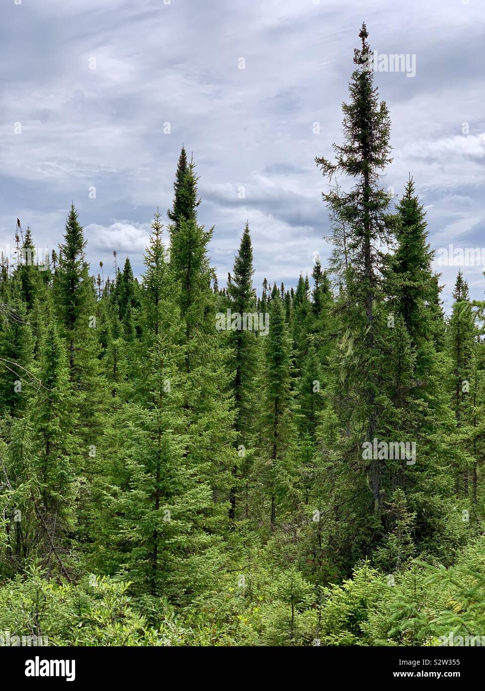 Northern quebec hi-res stock photography and images - Alamy