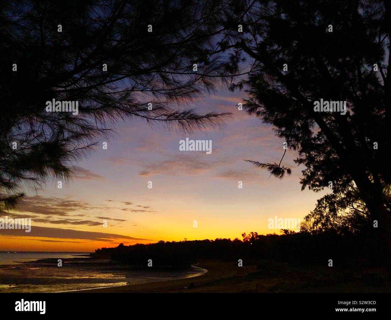 Sunset through trees trees hi-res stock photography and images - Alamy