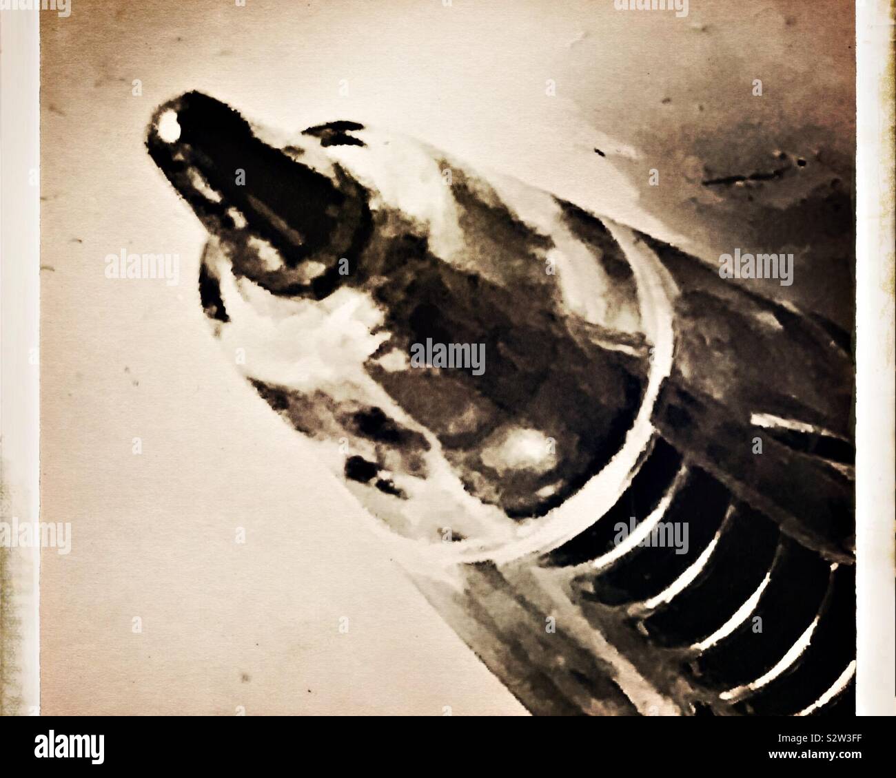 Ballpoint pen tip with spring inside Stock Photo - Alamy