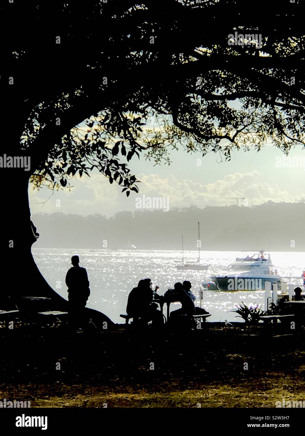 People under a tree hi-res stock photography and images - Alamy