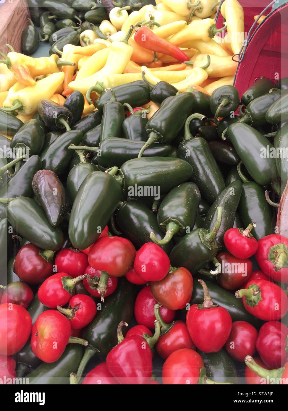 Multiple green peppers hi-res stock photography and images - Alamy