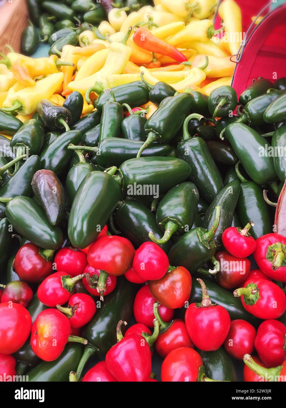 Display of multicolored peppers in the produce aisle of a grocery store ...