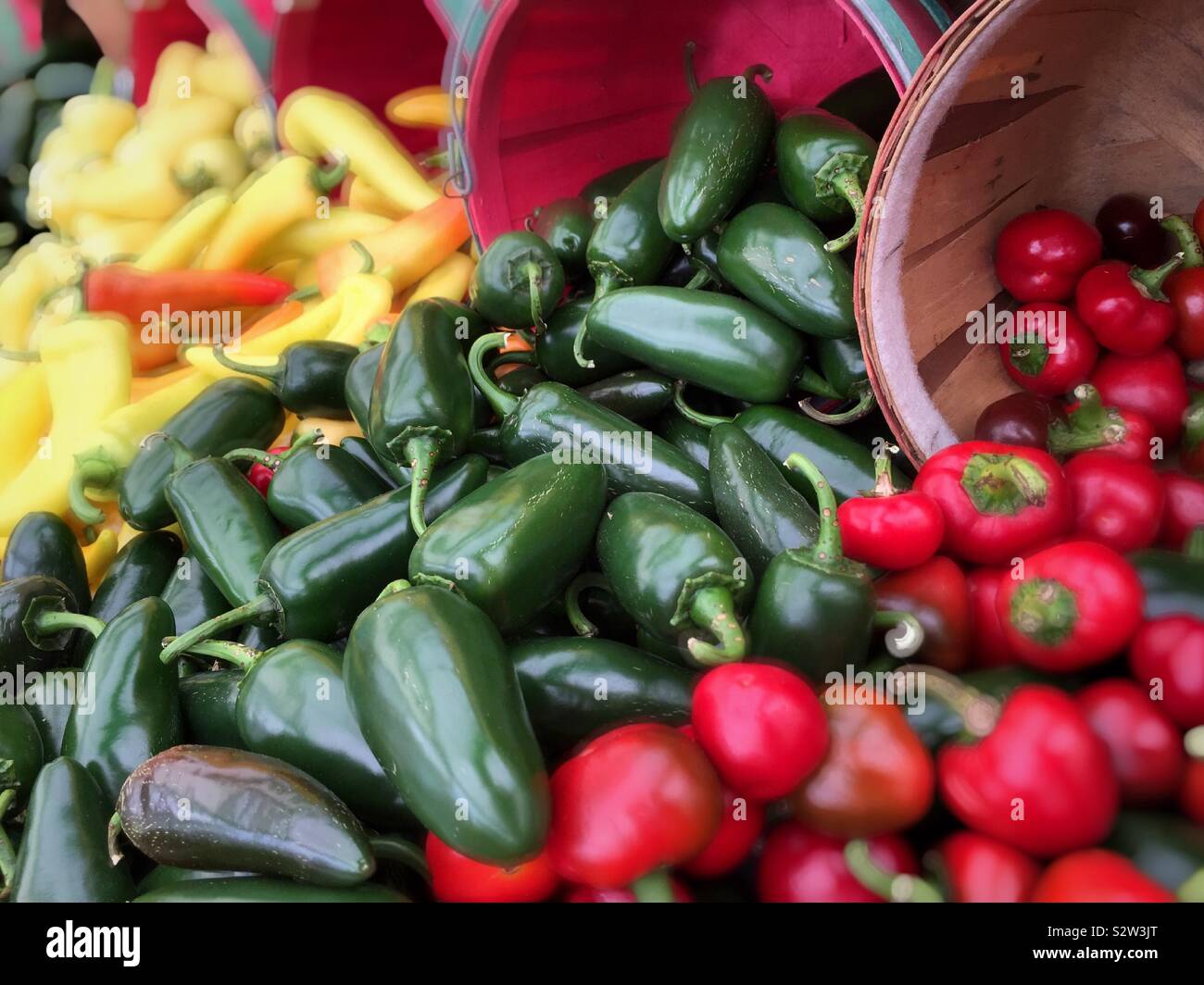 Close up of a display of multicolored peppers in the produce aisle of a ...
