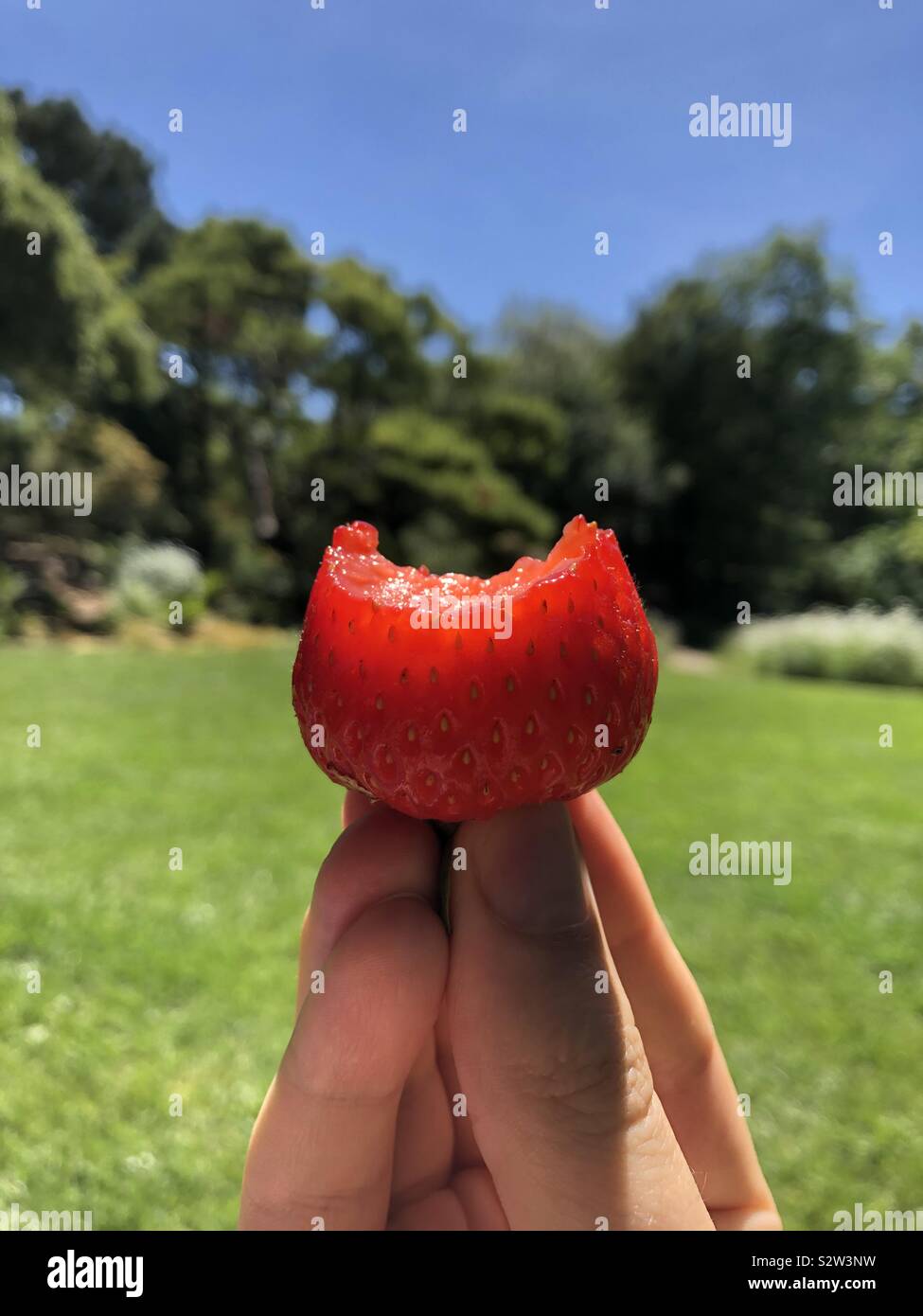 Strawberry bite hi-res stock photography and images - Alamy