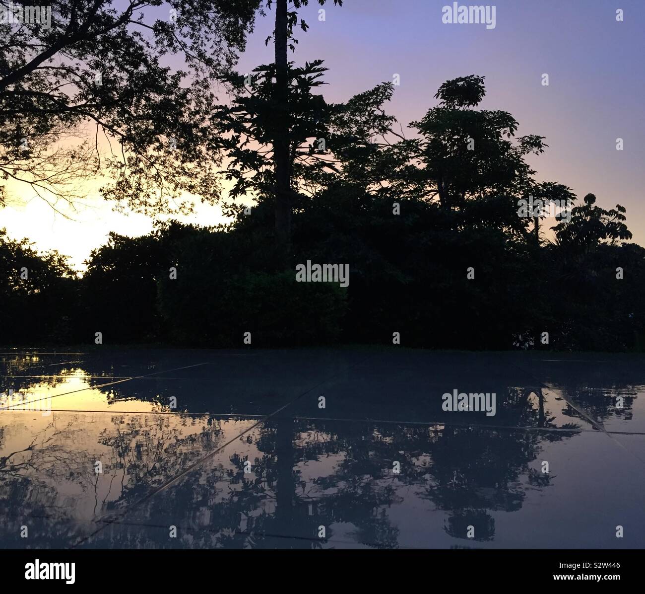 Reflection effect caused by light rainfall. Dusk. Sunset Stock Photo ...