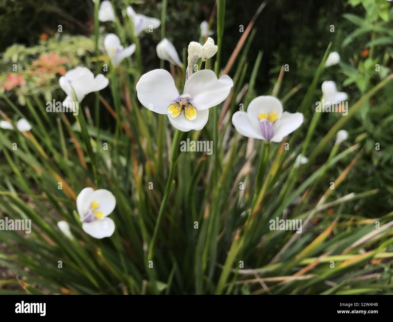 Fortnight hi-res stock photography and images - Alamy