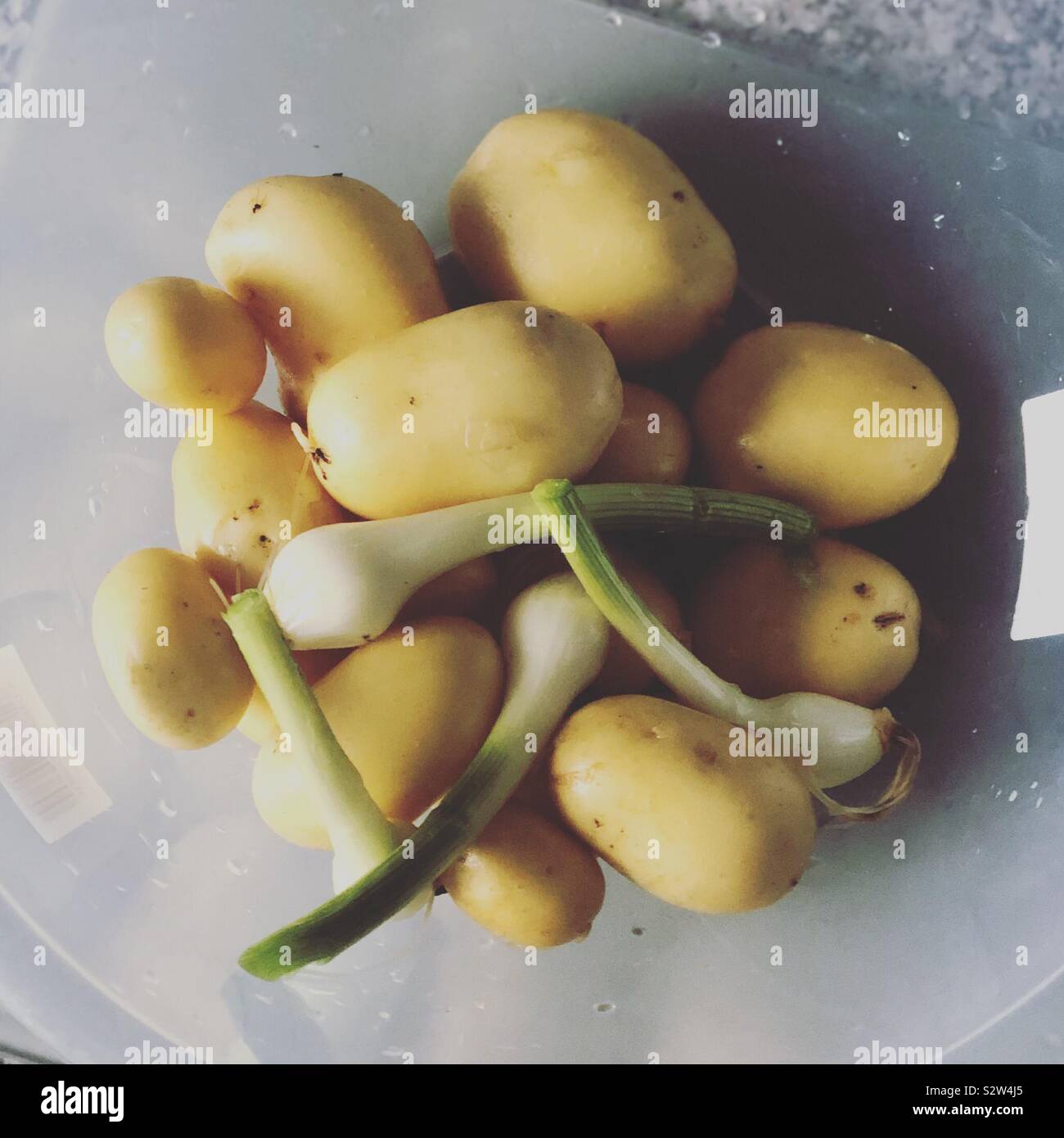 Homegrown potatoes hi-res stock photography and images - Alamy