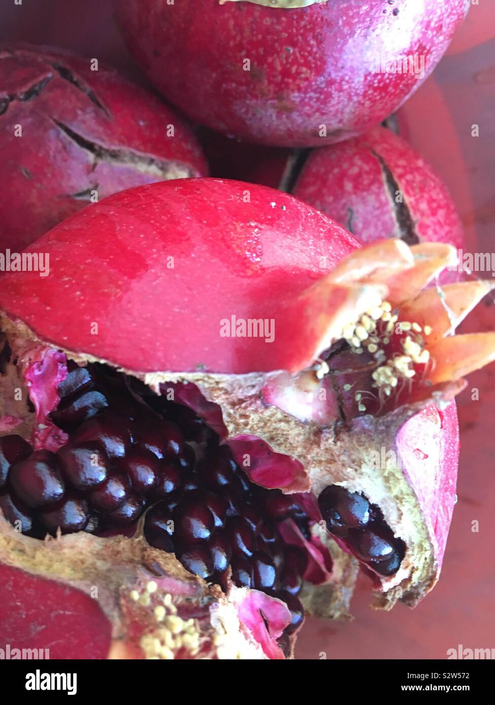 Pom fruit hi-res stock photography and images - Alamy