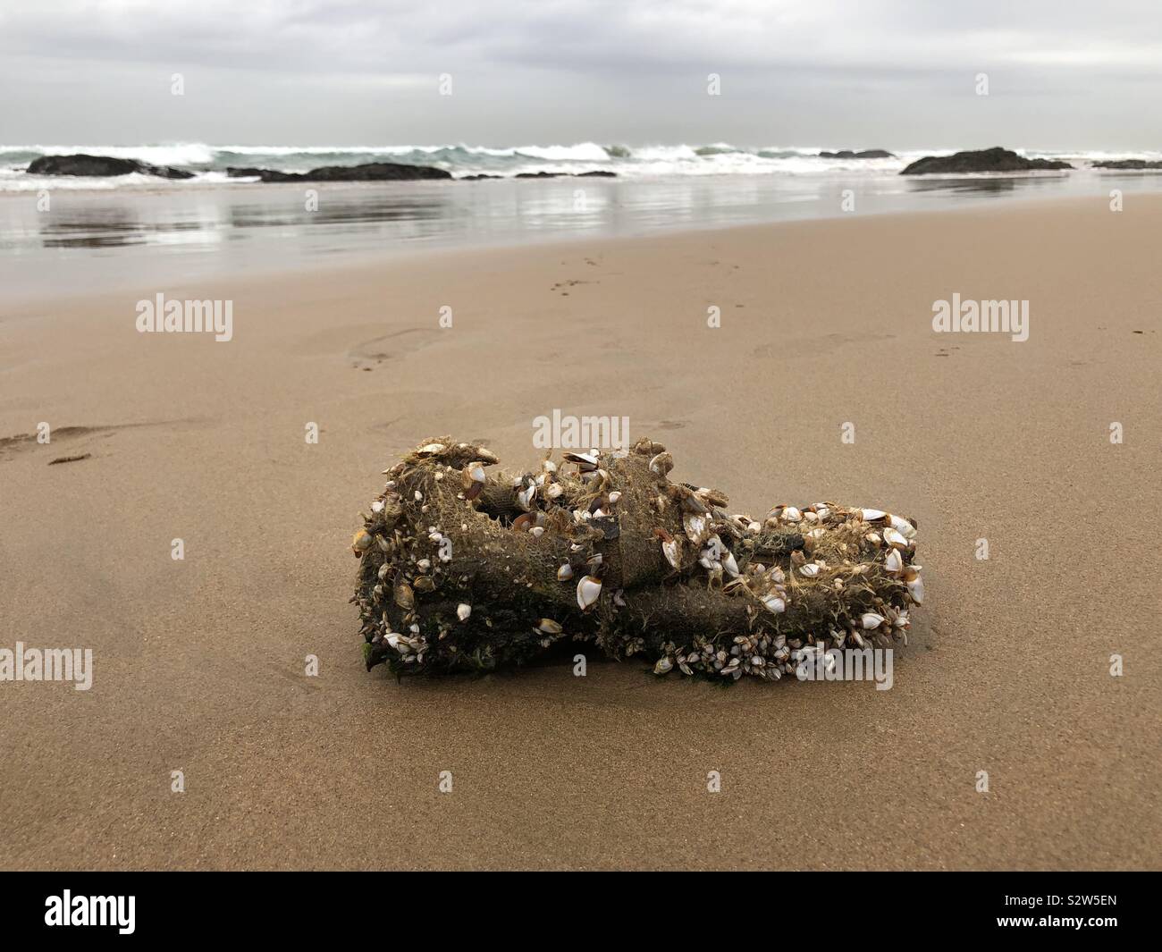 Shoe on the beach hi-res stock photography and images - Alamy